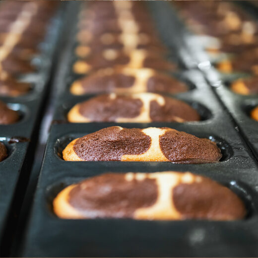 Madeleines longues | Le Ster